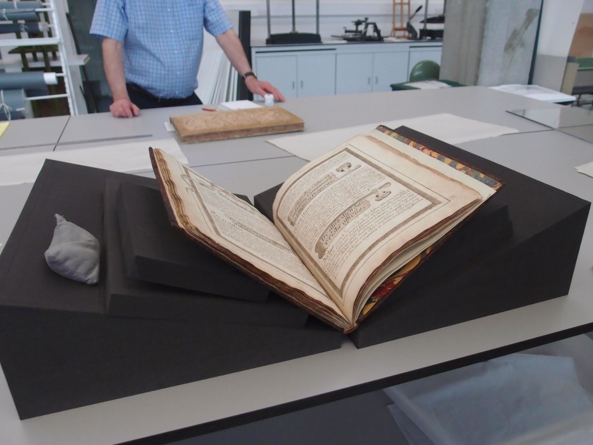 Conservation Services | Status Reports & Paper Conservation – Mangrove